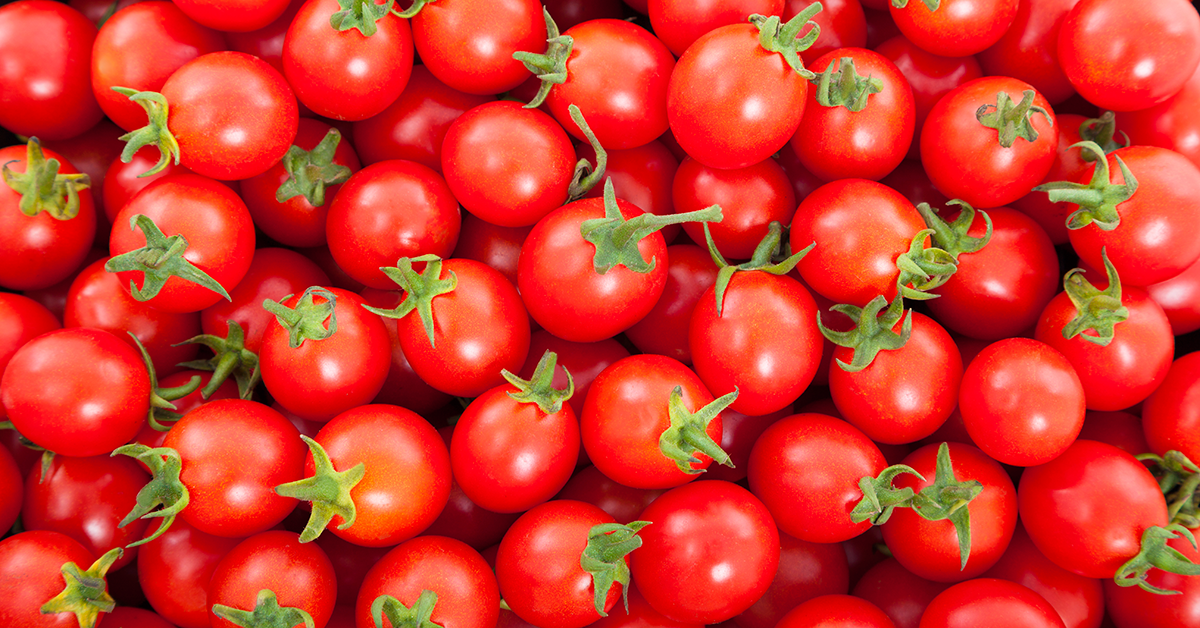 Immigrants in New Jersey - American Immigration Council